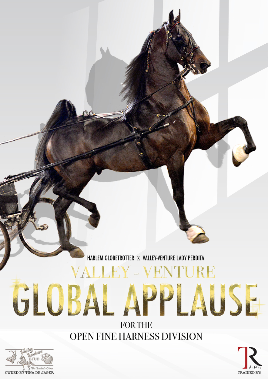 Advert Submission | SA Saddle Horse