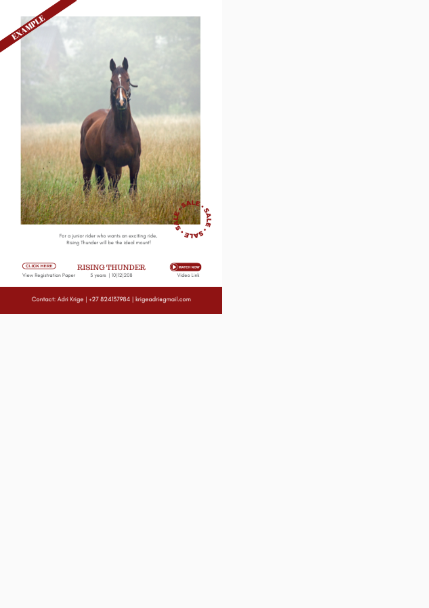 Advert Submission | SA Saddle Horse