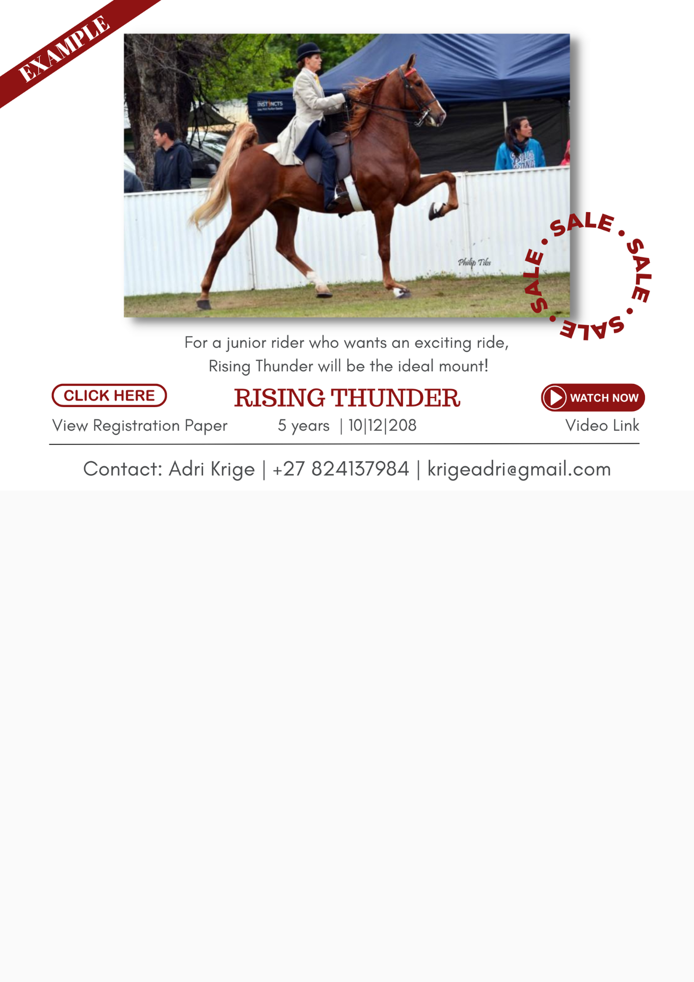 Advert Submission | SA Saddle Horse